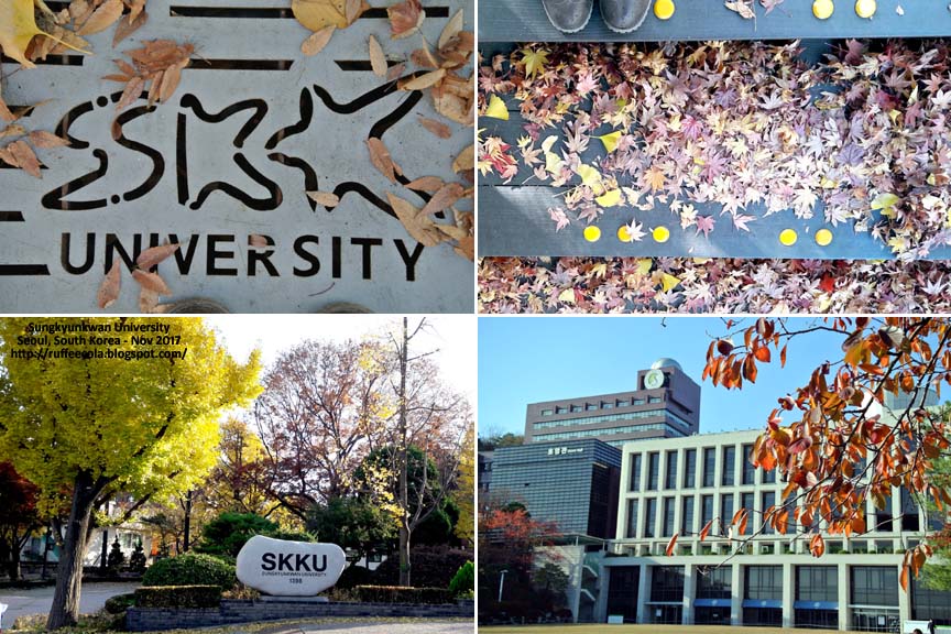 travel tales: South Korea: Sungkyunkwan University's Autumn Colors