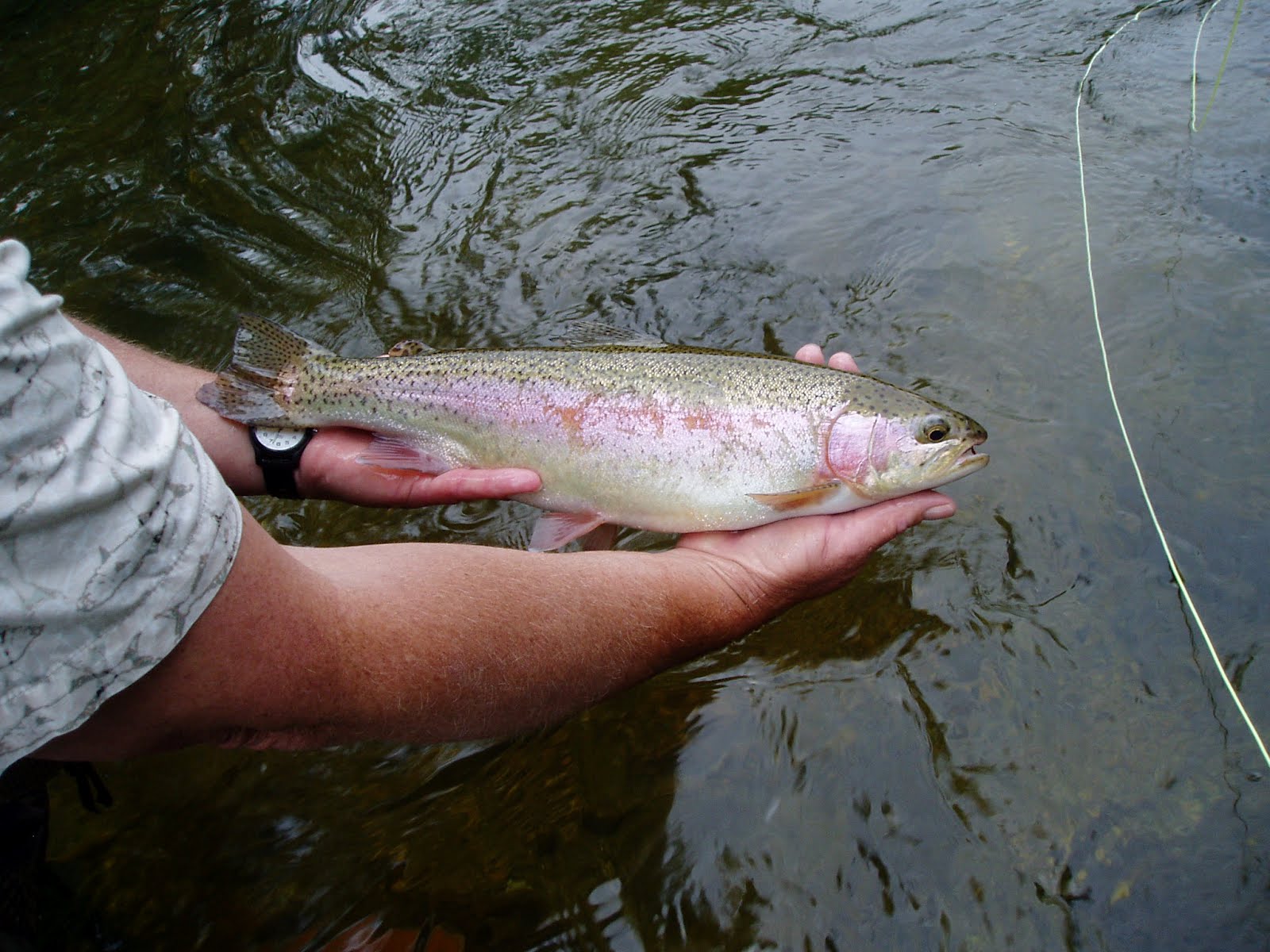 Vermont Fly Fishing: Vermont Fly Fishing for Trout