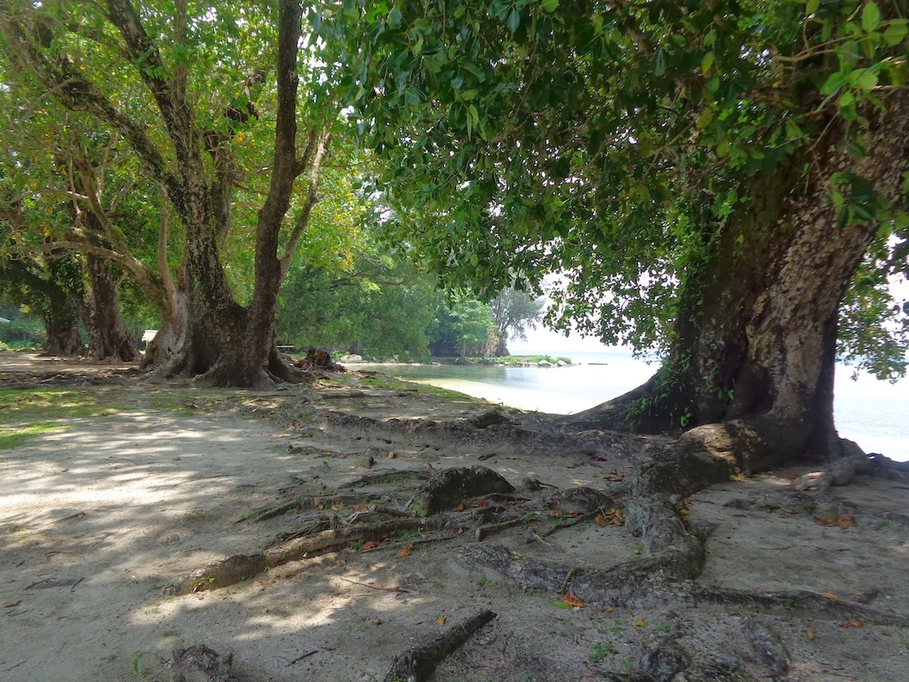 No direction home ... a complete unknown ... like a rolling luggager ...