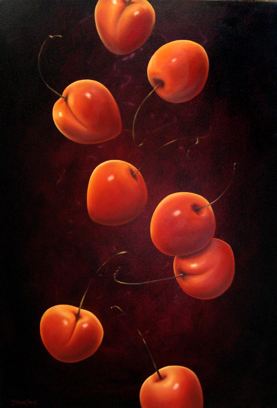 Steven Davis Artworks: Oil Paintings