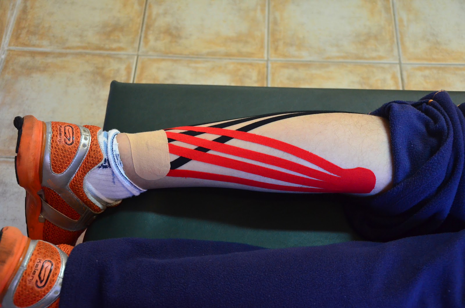 The Fascia Therapy Blog: MS Field Report: Week One