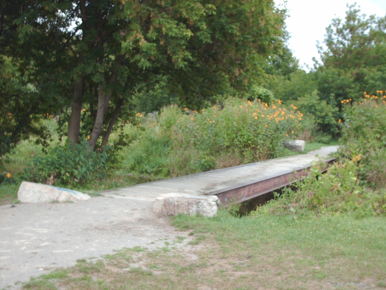 Bob McMullen Linear Trail - Chase March - Official Site