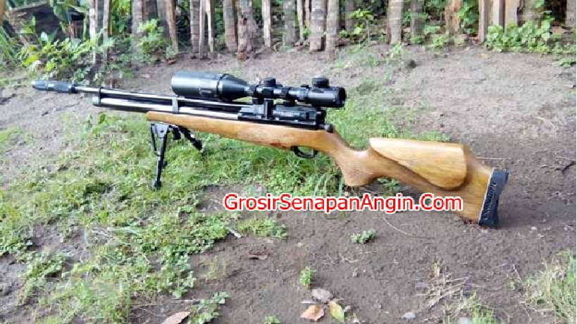 Harga senapan angin air arm | semua tentang senapan