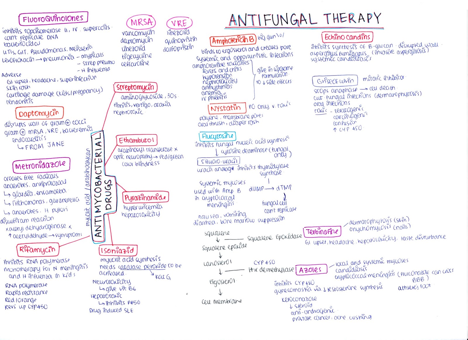 The Complete Guide on How To Study Pharmacology in Med School