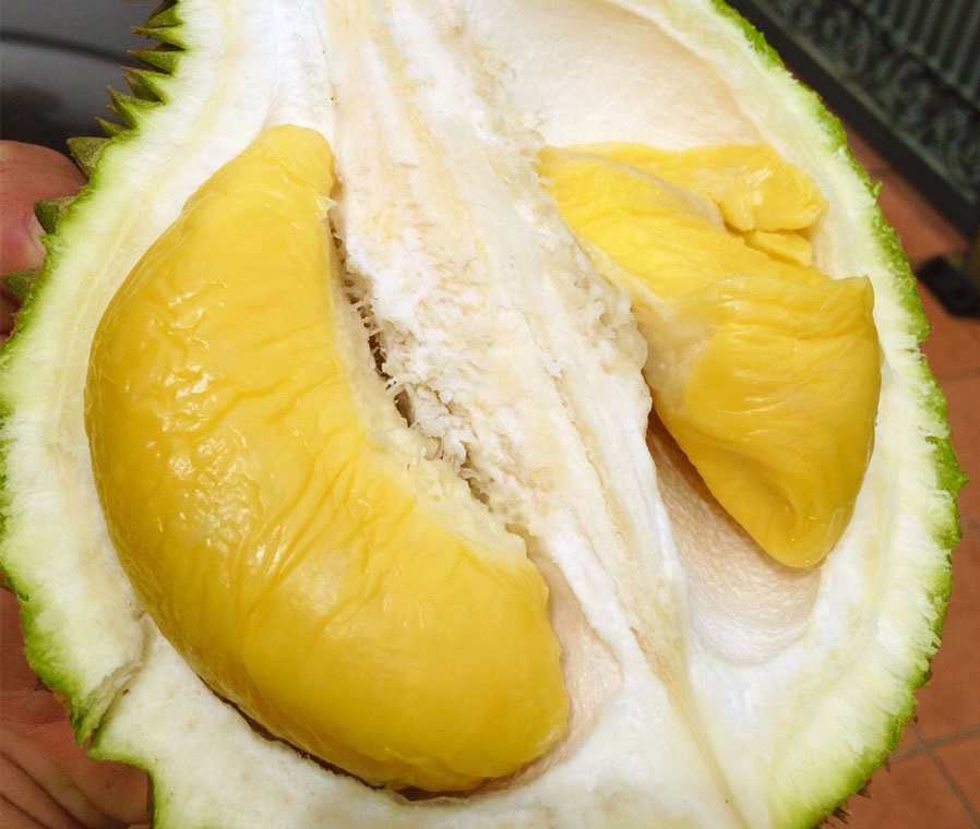 10 Jenis Durian Yang Ada Di Malaysia - Life's a treat