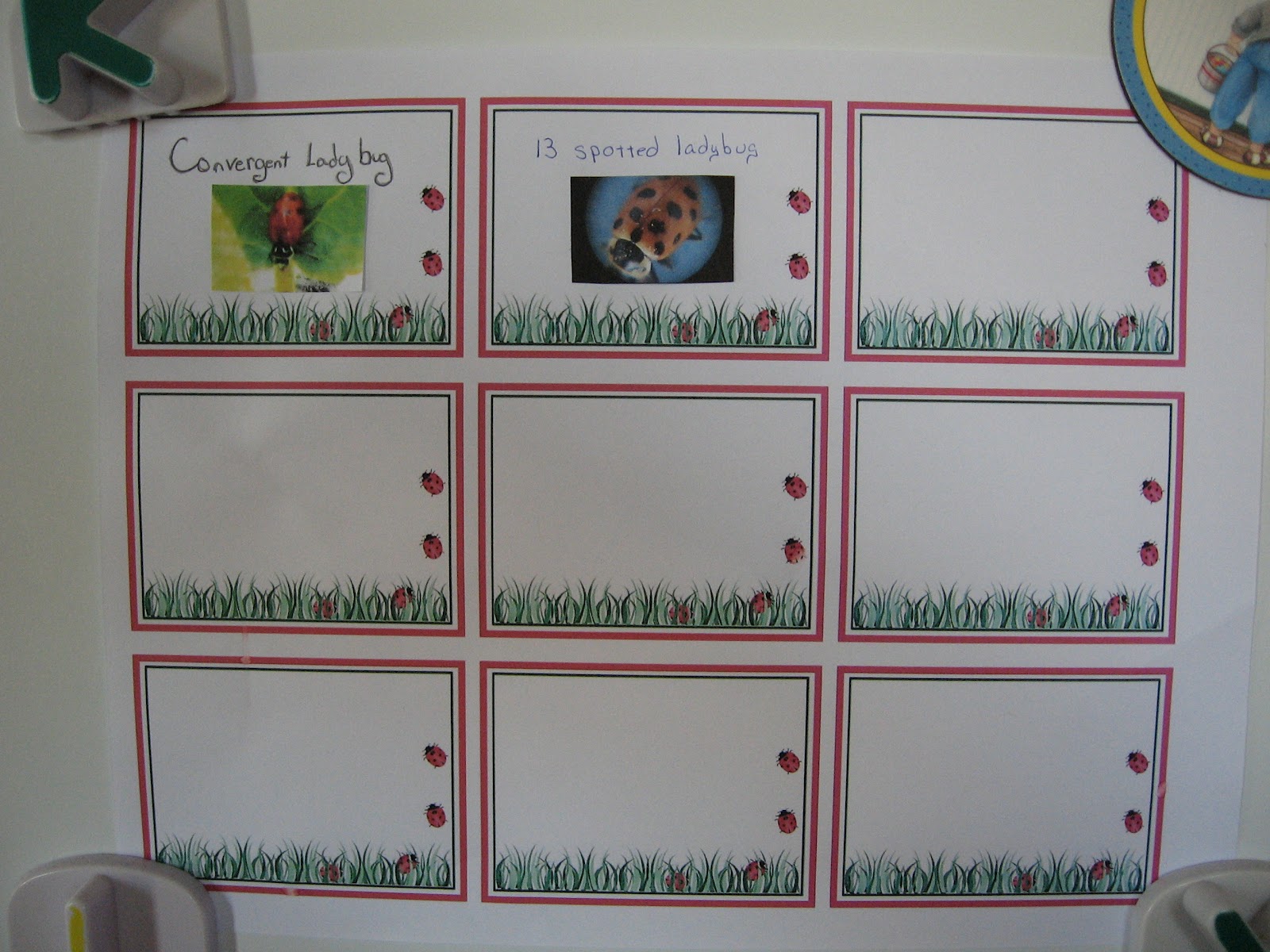 Almost Unschoolers: A 13 Spotted Ladybug