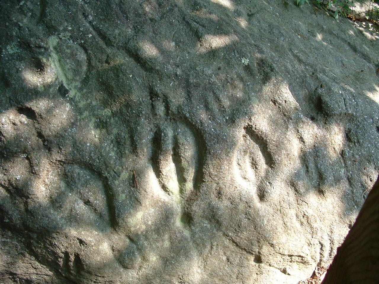 Blue Starr Gallery: Track Rock Petroglyphs