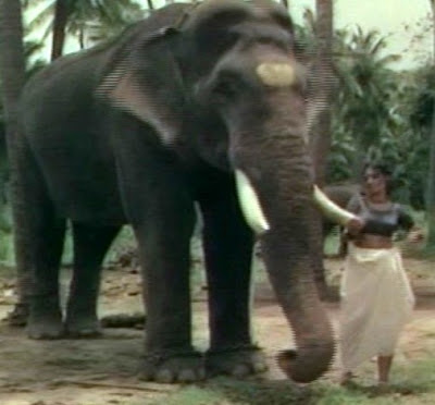 Antareeyam അന്തരീയം: Onnara ഒന്നര