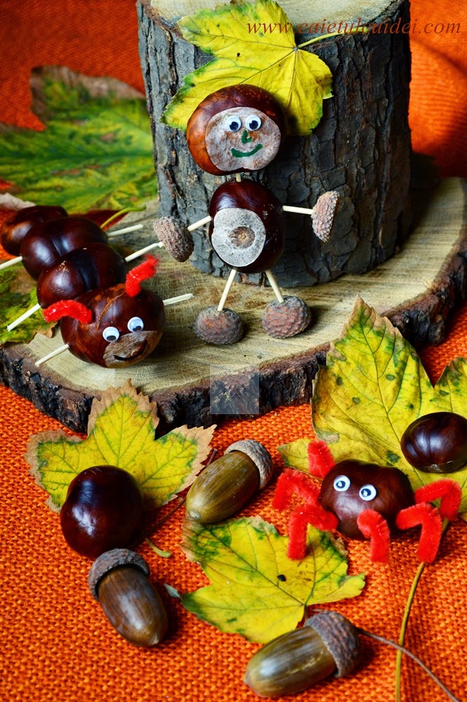 Activitati practice cu castane - CAIETUL CU IDEI