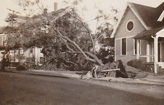 Maynard Life Outdoors and Hidden History of Maynard: Treeless in Maynard