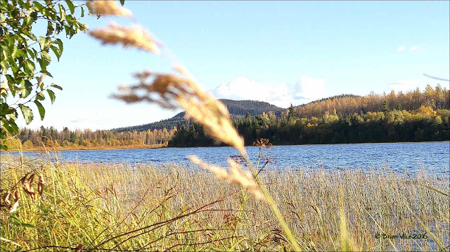 Northern Interior British Columbia: Fall At Sunset Lake Topley British ...