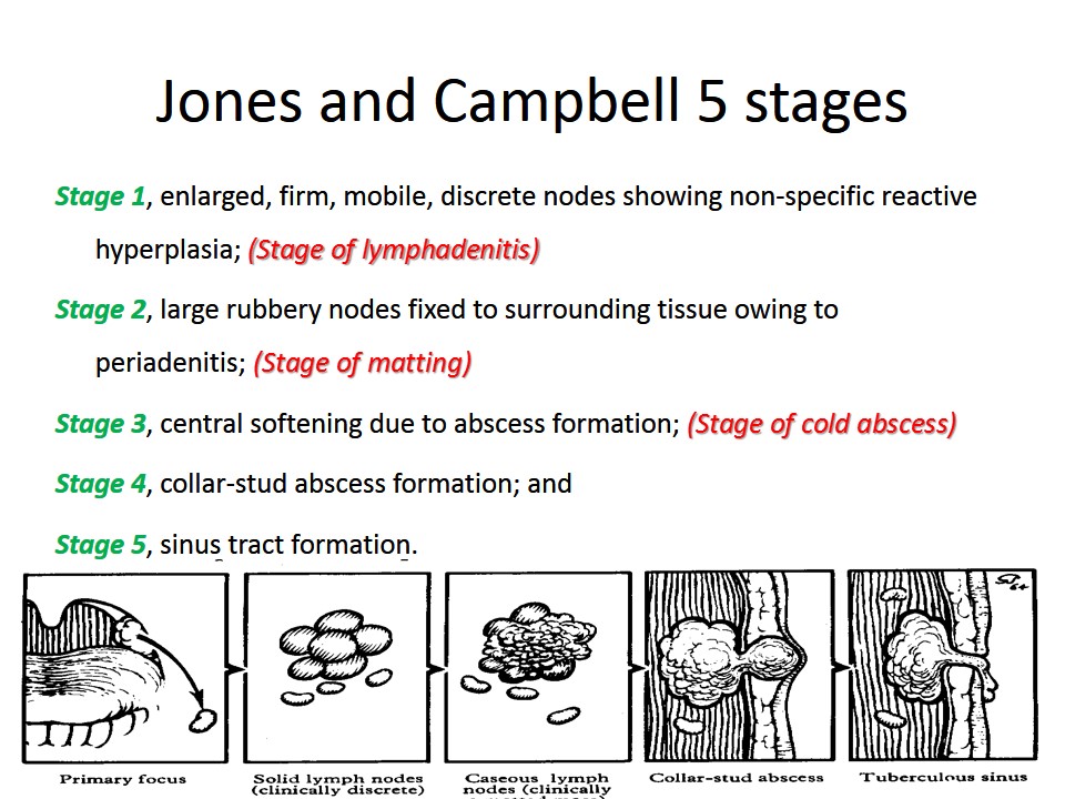 Dentosphere : World of Dentistry: July 2017