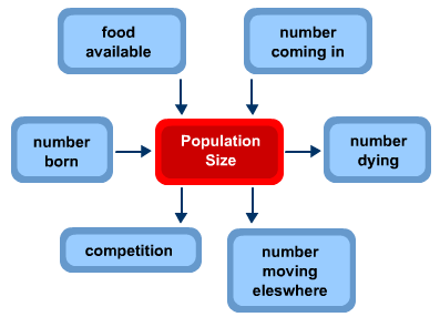 Population size