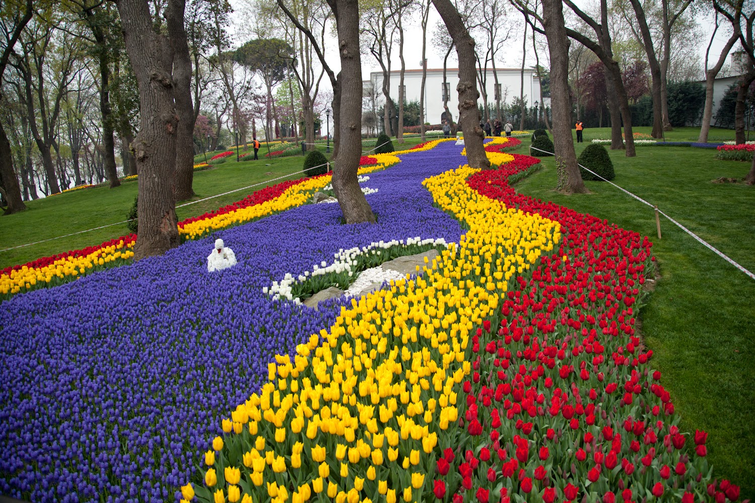 Beauty in Photography: Tulip Festival in Emirgan Park Istanbul, 2014