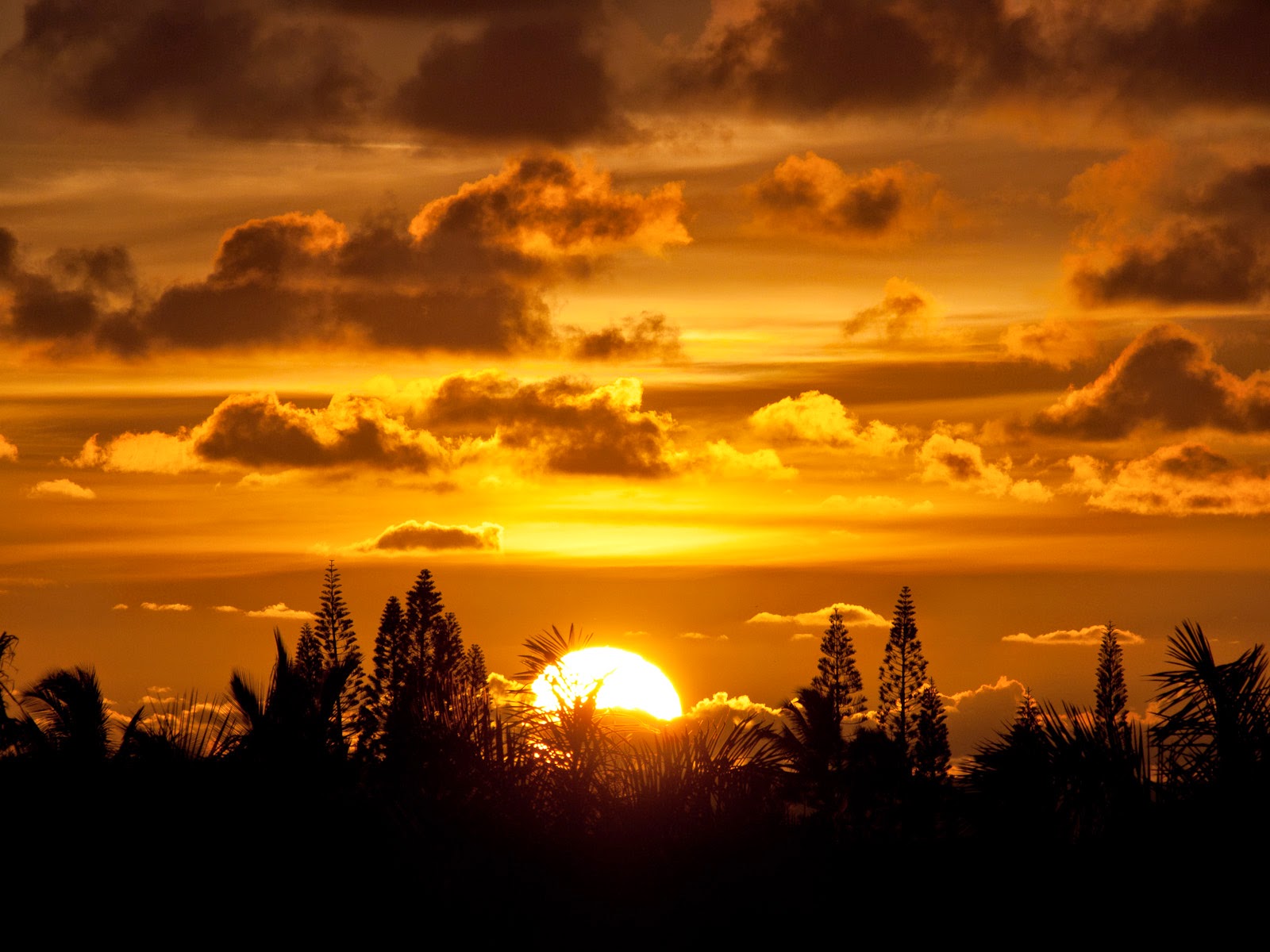 A Caminho de Casa: maio 2014