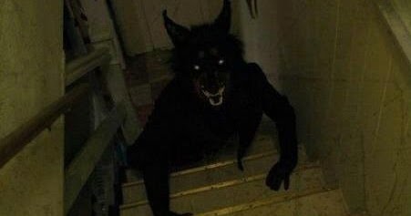 Scariest stories : -Midnight nightmare