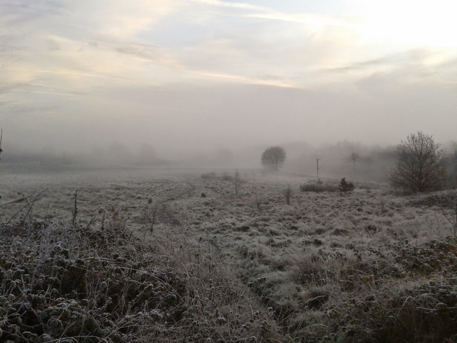 RSPB Sandwell Valley: Wintery images of Sandwell