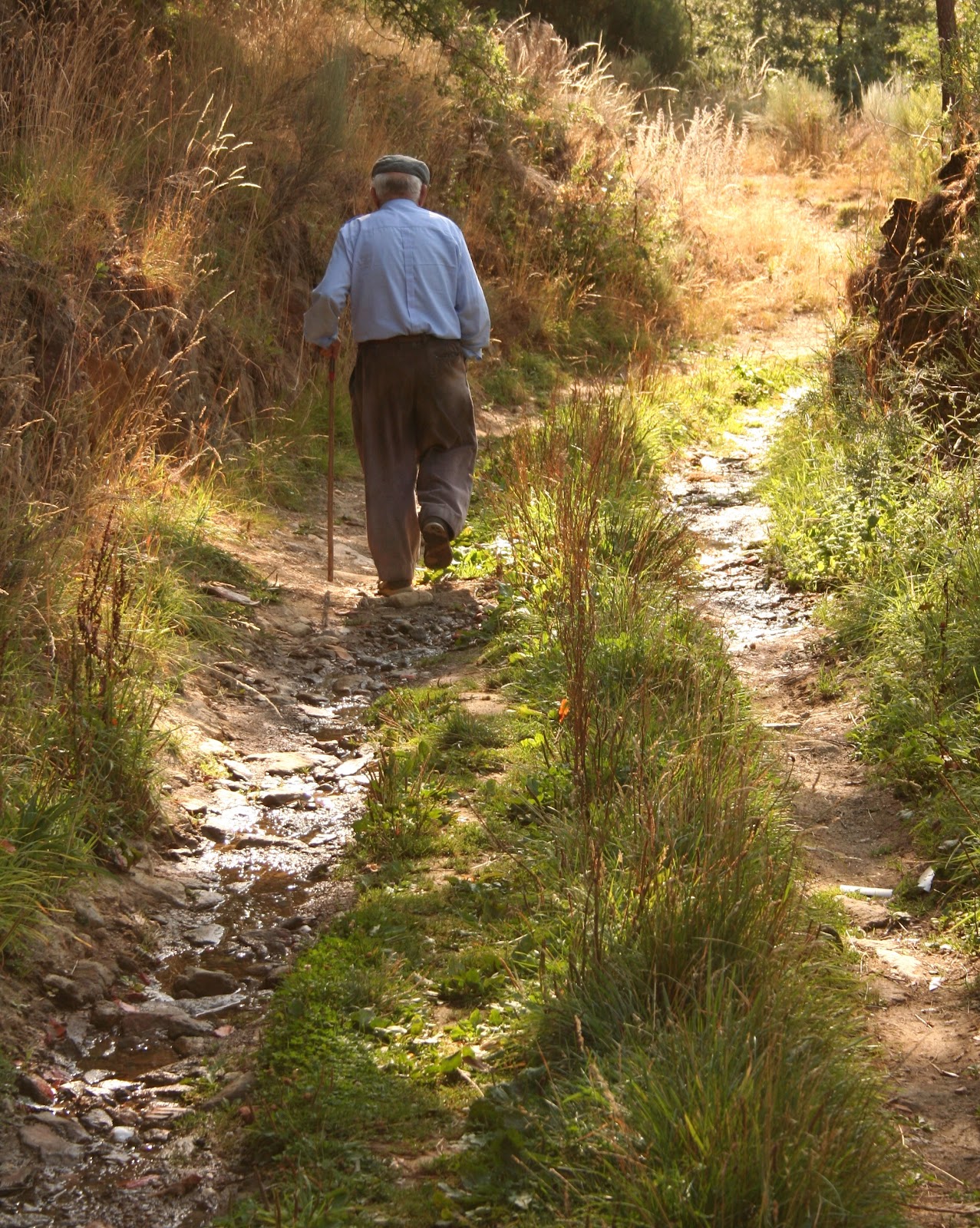 La mitad del camino...: Camina...