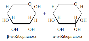 Macromoleculas