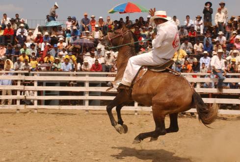 ALL YOU NEED IS ECUADOR: Rodeo Montubio