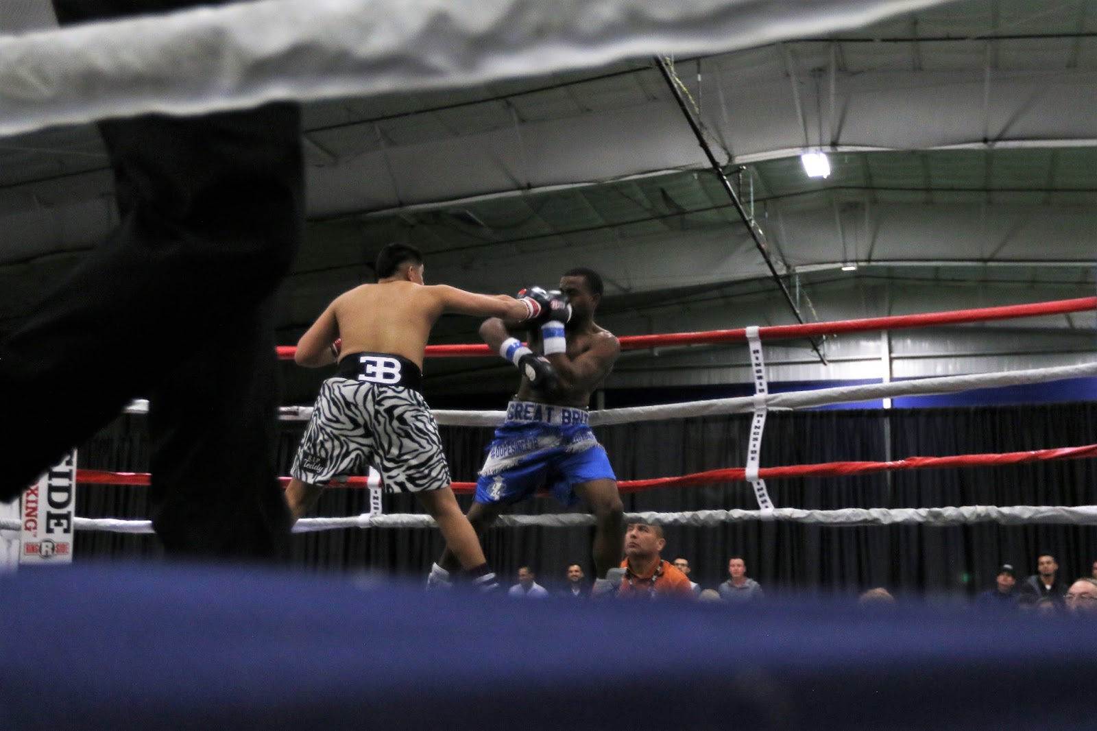 Utah MMA and Boxing : Photos from SLC boxing card on April 1