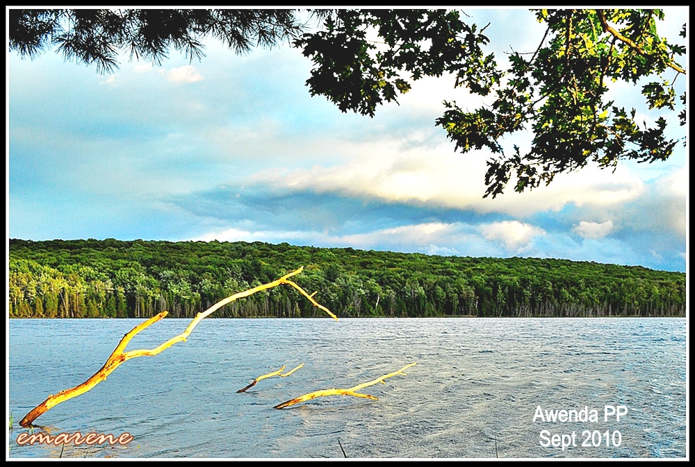 This Randomness: Awenda Provincial Park