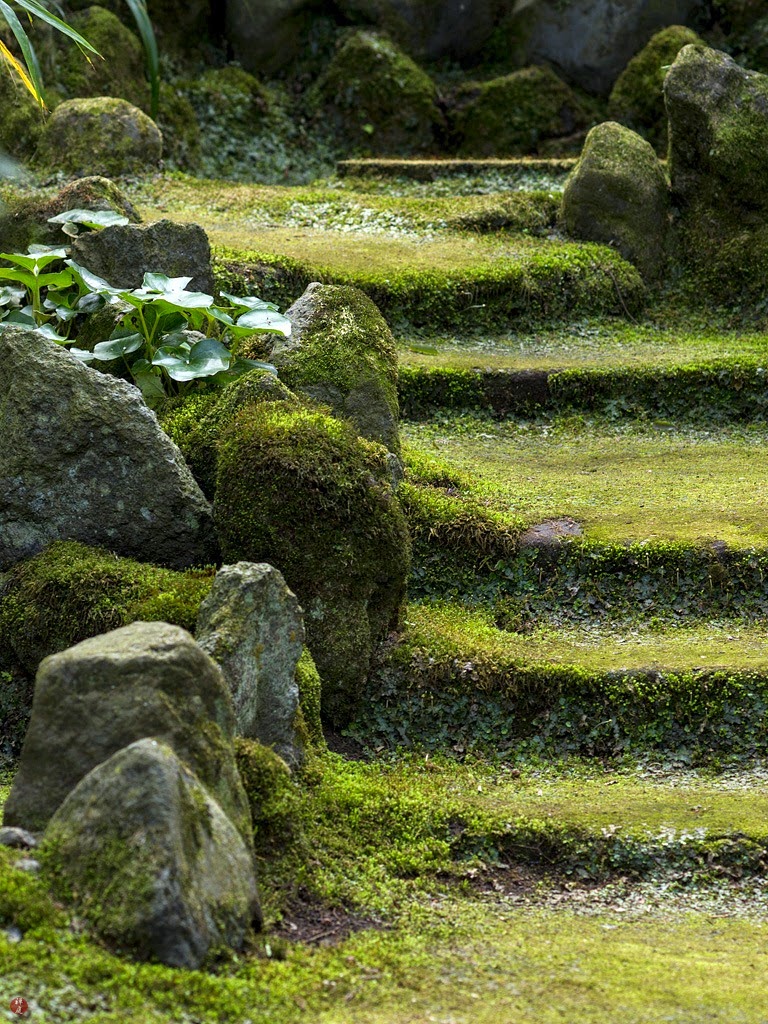 FROM THE GARDEN OF ZEN: Stone steps: Tokei-ji