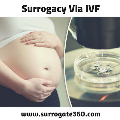 Surrogate 360