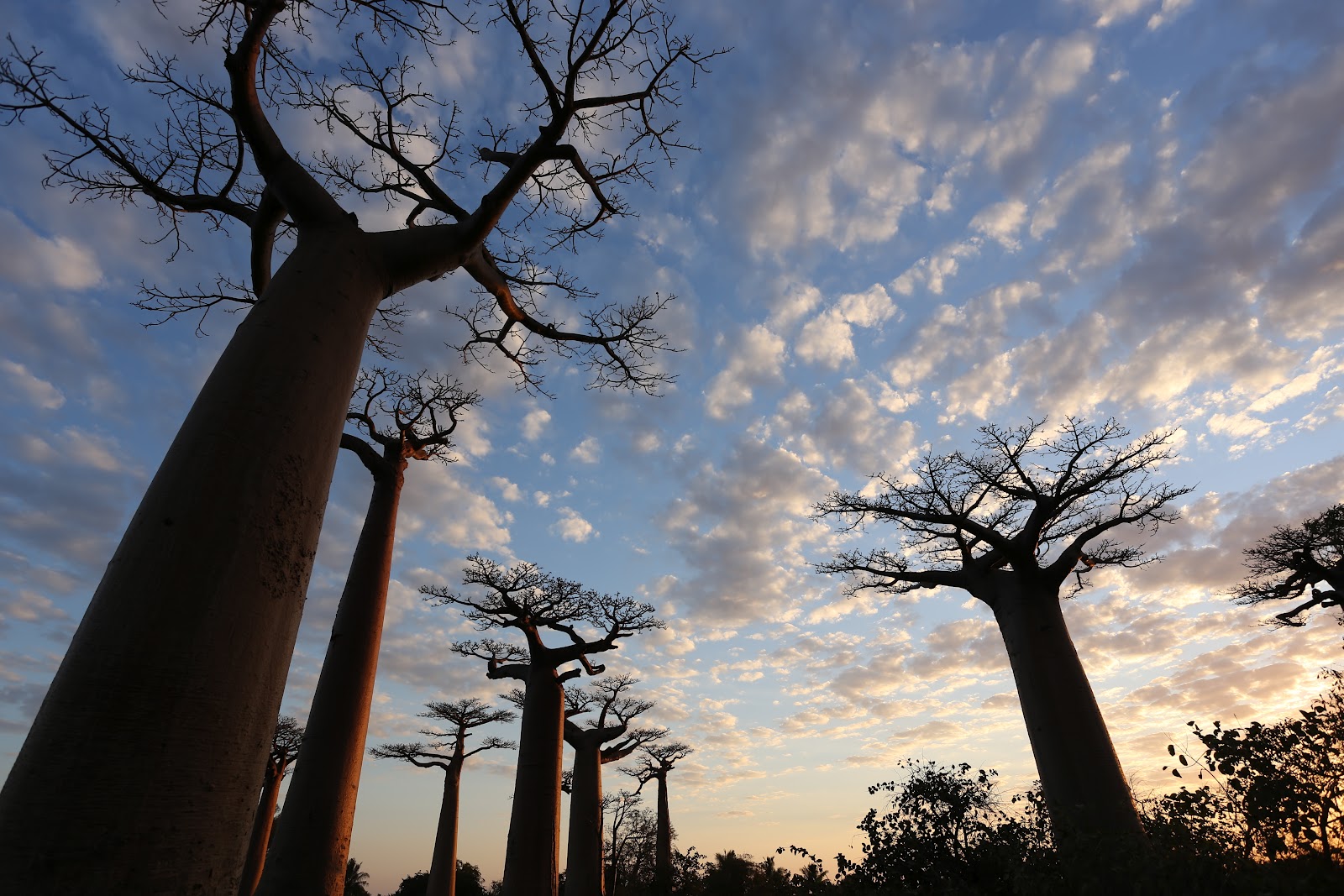 EOS 6D sample images / Photos taken with EOS 6D - CAMERARUMORS.IN