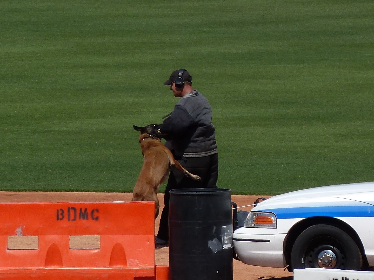 Hundewanderer.com: 2011 Desert Dog Police K-9 Trials