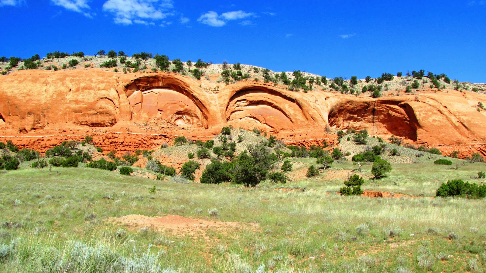 Me and My Dog ...and My RV: Train track truck on the way to the ...