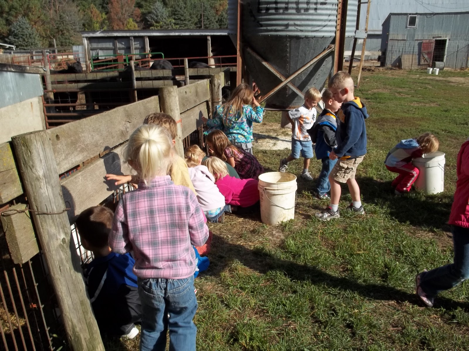 Mrs. Wunschel's Class News: Preschool field trip to the farm