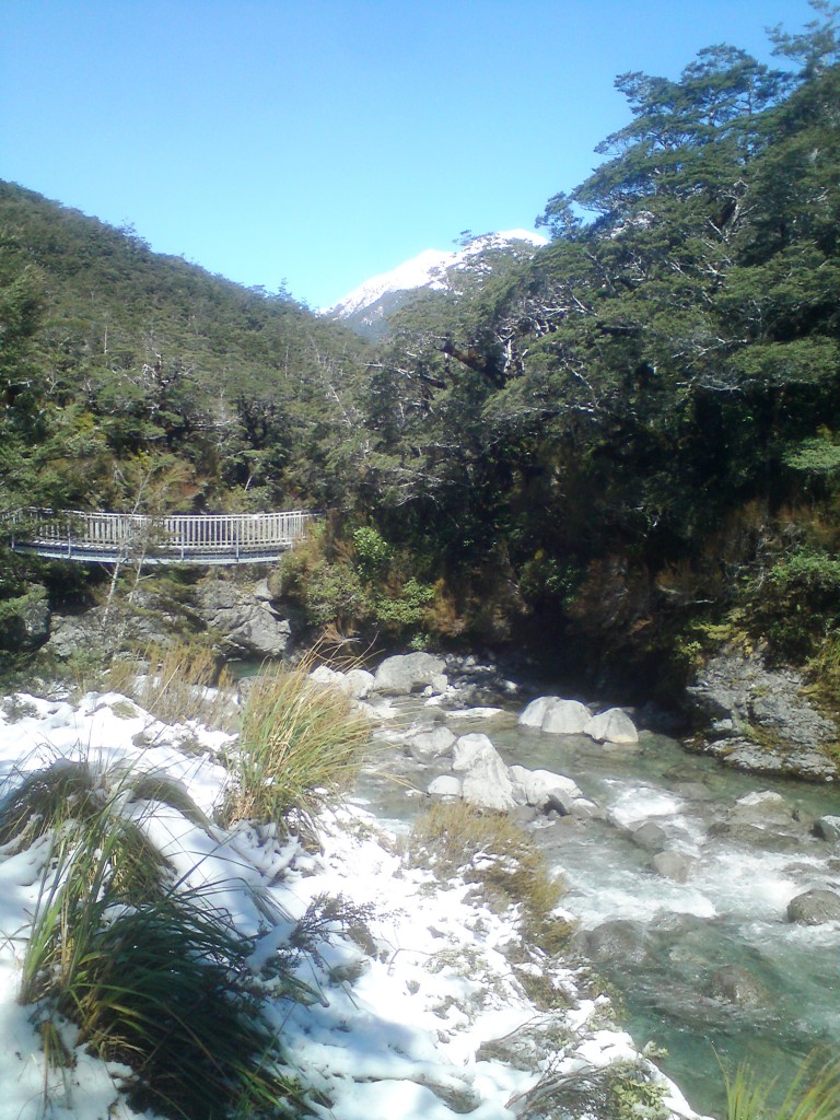 umbrella graveyard: 01/10/2012 - 01/11/2012