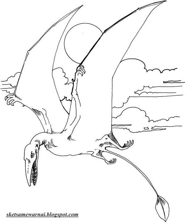 Koleksi Cemerlang 20+ Gambar Sketsa Naga Api