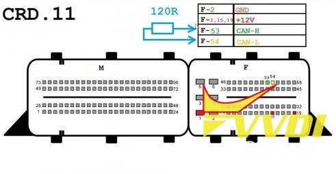 CRD 11 Delphi Control Unit ECU Wiring Diagram -OBD365.com