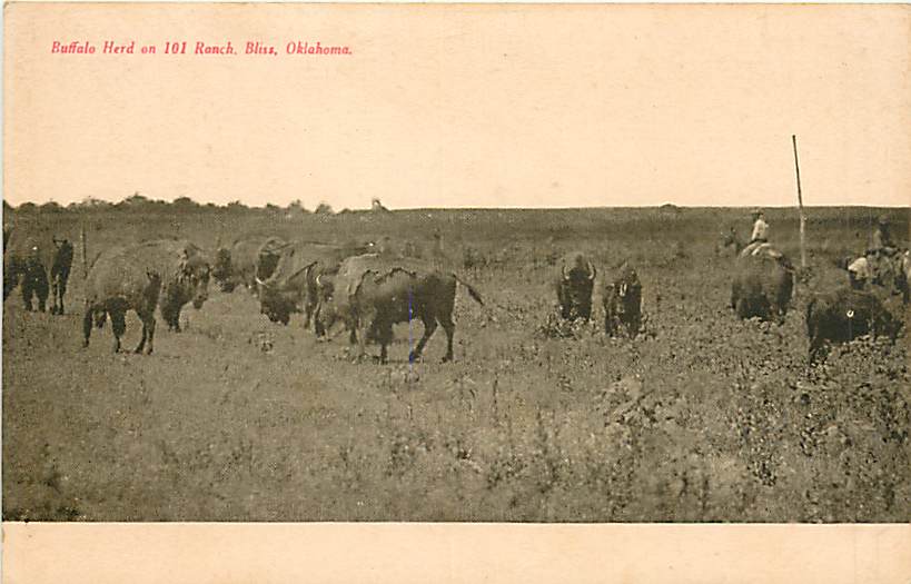The Circus "NO SPIN ZONE": Miller's 101 Ranch