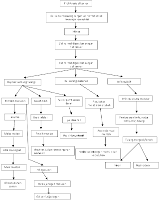 agnezt: LLA (Leukemia Limfosit Akut)