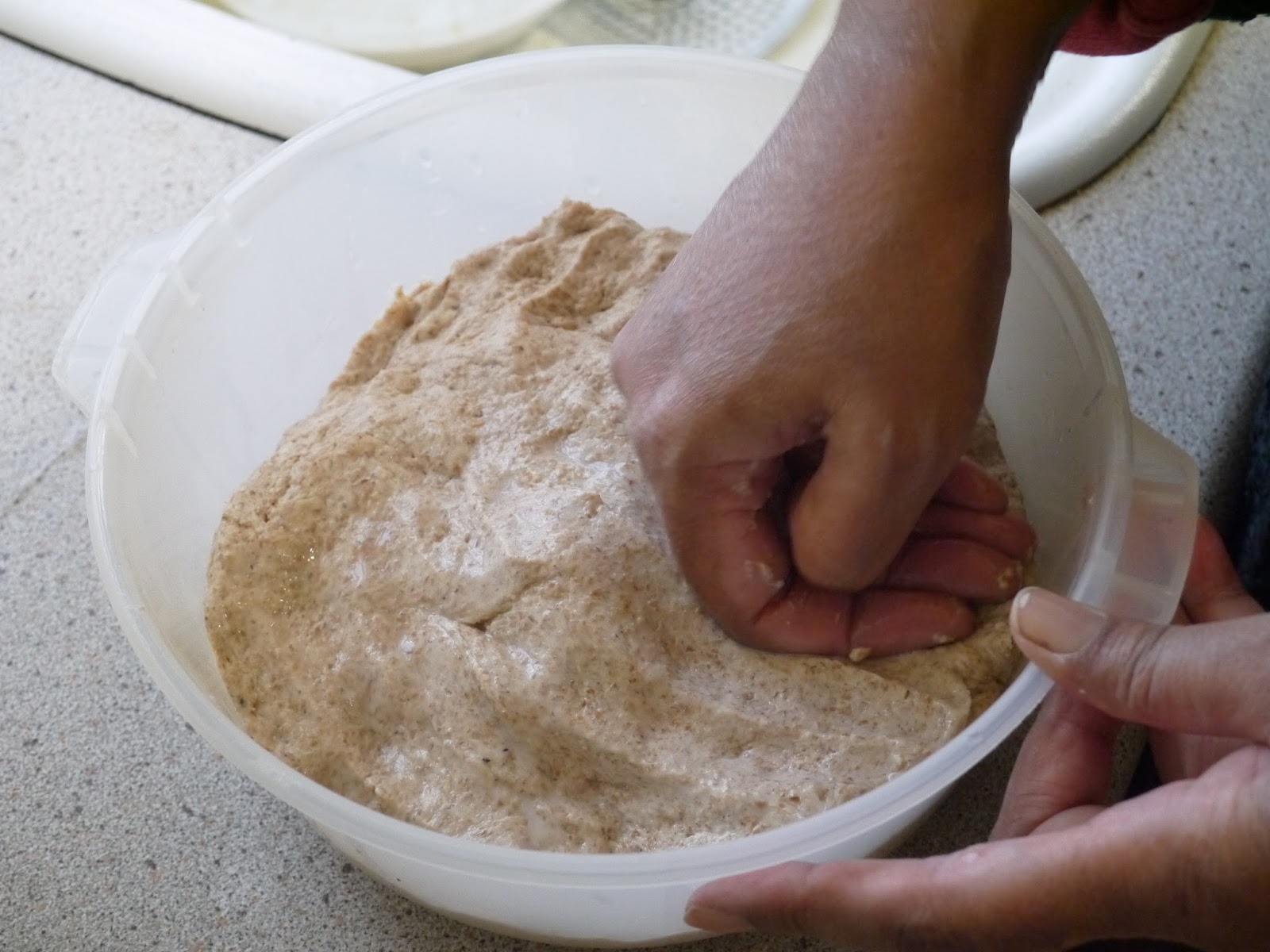 This Muslim Girl Bakes: Our House Roti.