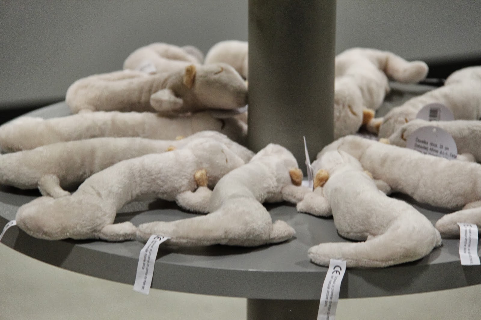 1000 Amazing Places: #765 Postojna Cave, Slovenia