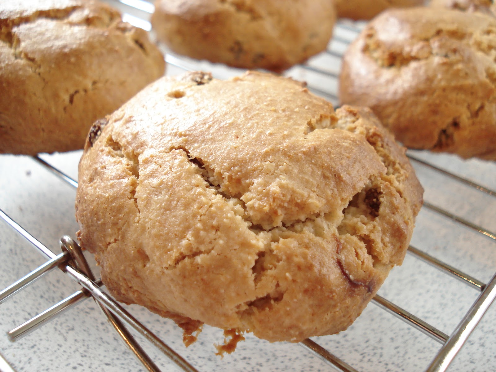 Grain Free Sultana Scones GF SCD | Gluten Free SCD and Veggie