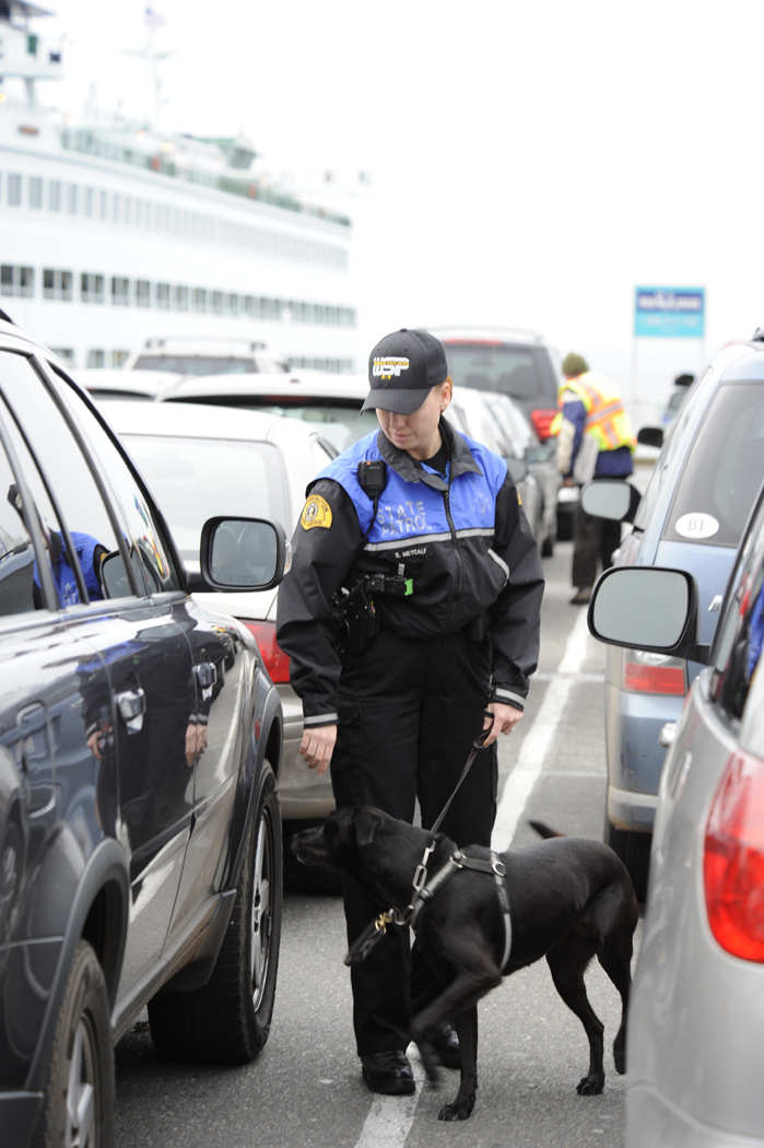 Are Dogs Allowed On The Seattle Ferries With A Walk On