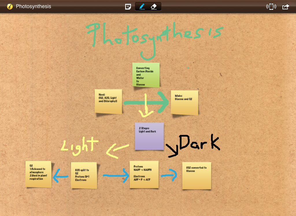 Magh Sci: LC Biology - Photosynthesis
