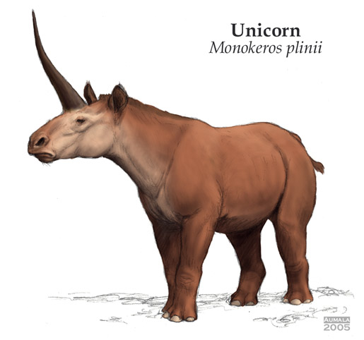 Fin des Voies Rapides: Crucifixion the Bodily Support – The Acuta Crux ...