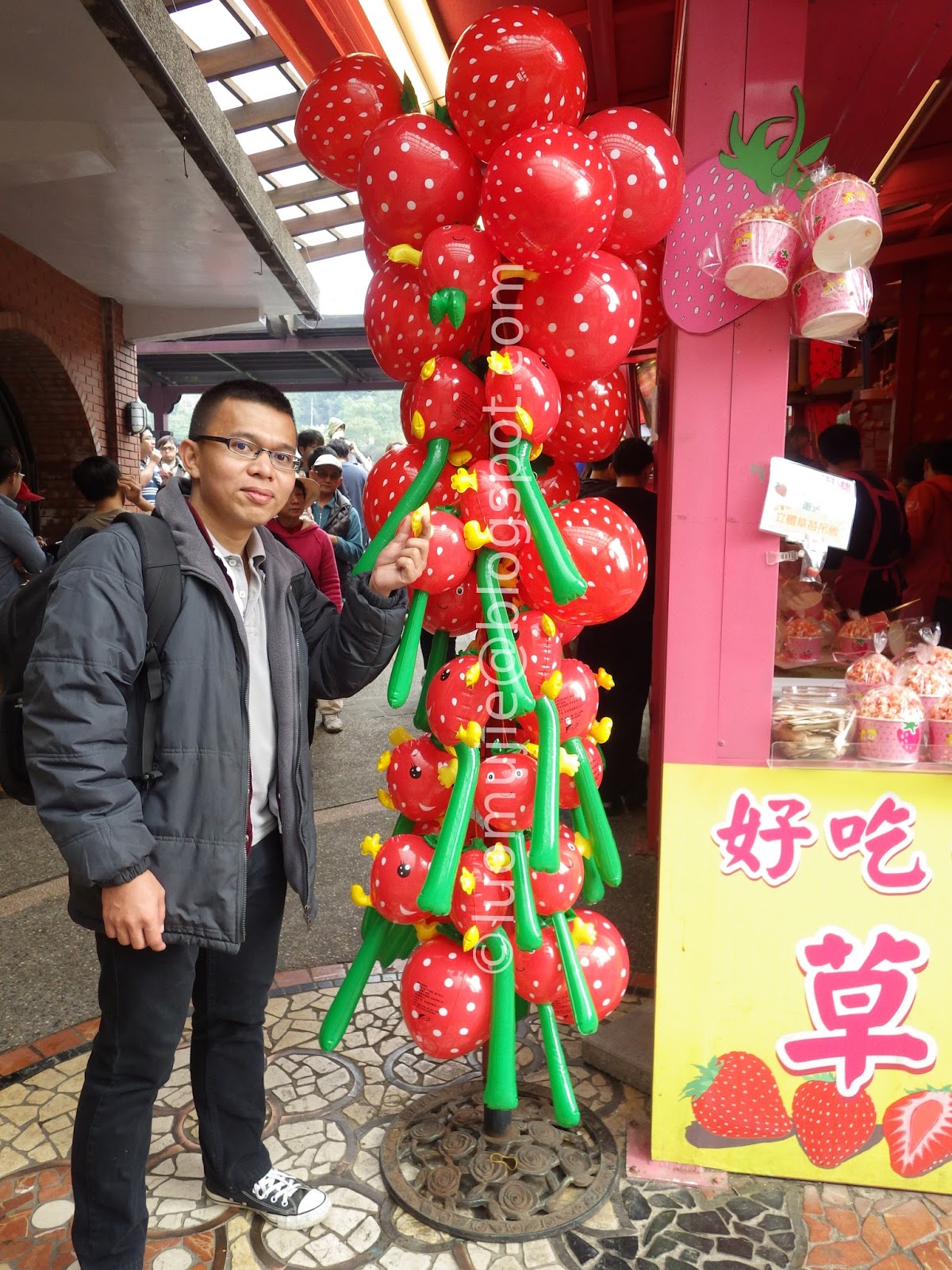 Strawberry Picking in Dahu (大湖),Miaoli (苗栗) - Dahu Wineland Resort (大湖酒 ...