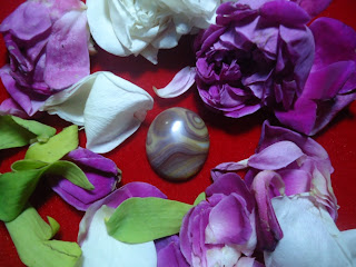 Di Maharkan Mustika Bayu Maruto - Padepokan Mustika Sakti