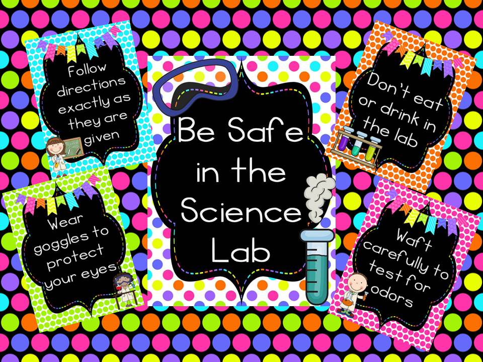 Ham it Up in Science: Getting Classroom Ready!