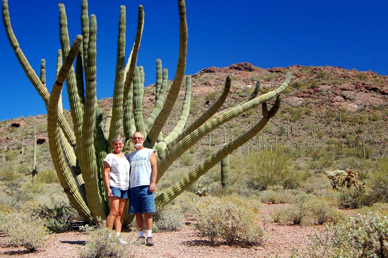 Anywhere USA: Another beautiful National Park- Organ Pipe Cactus ...