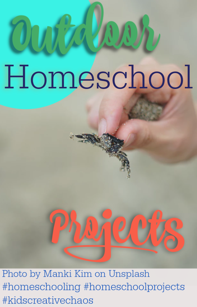 Summer Homeschool Projects to Get Your Kids Outdoors - Adventures of ...