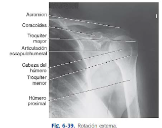PRODUCCION Y TRATAMIENTO DE IMAGENES DIAGNOSTICAS: CAPITULO HUMERO Y ...