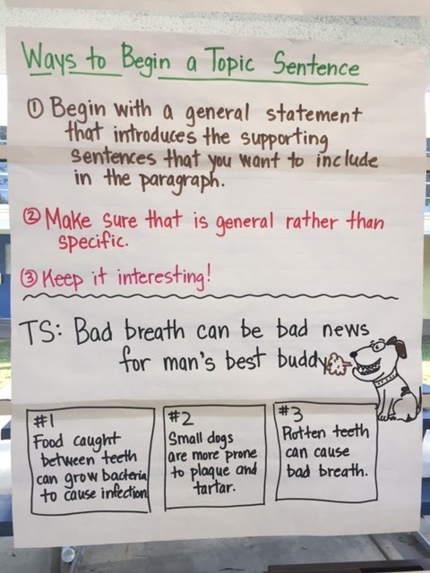 ELA Anchor Charts: Ways to Begin a Topic Sentence